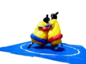 Sumo Suit – Jumping Castle Hire Sydney